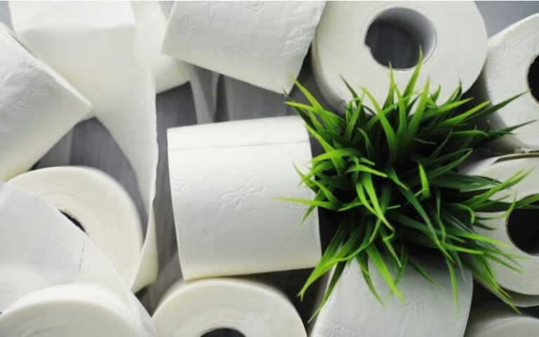 Choosing 100% Recycled Toilet Paper-A Simple Step Toward a Healthier ...